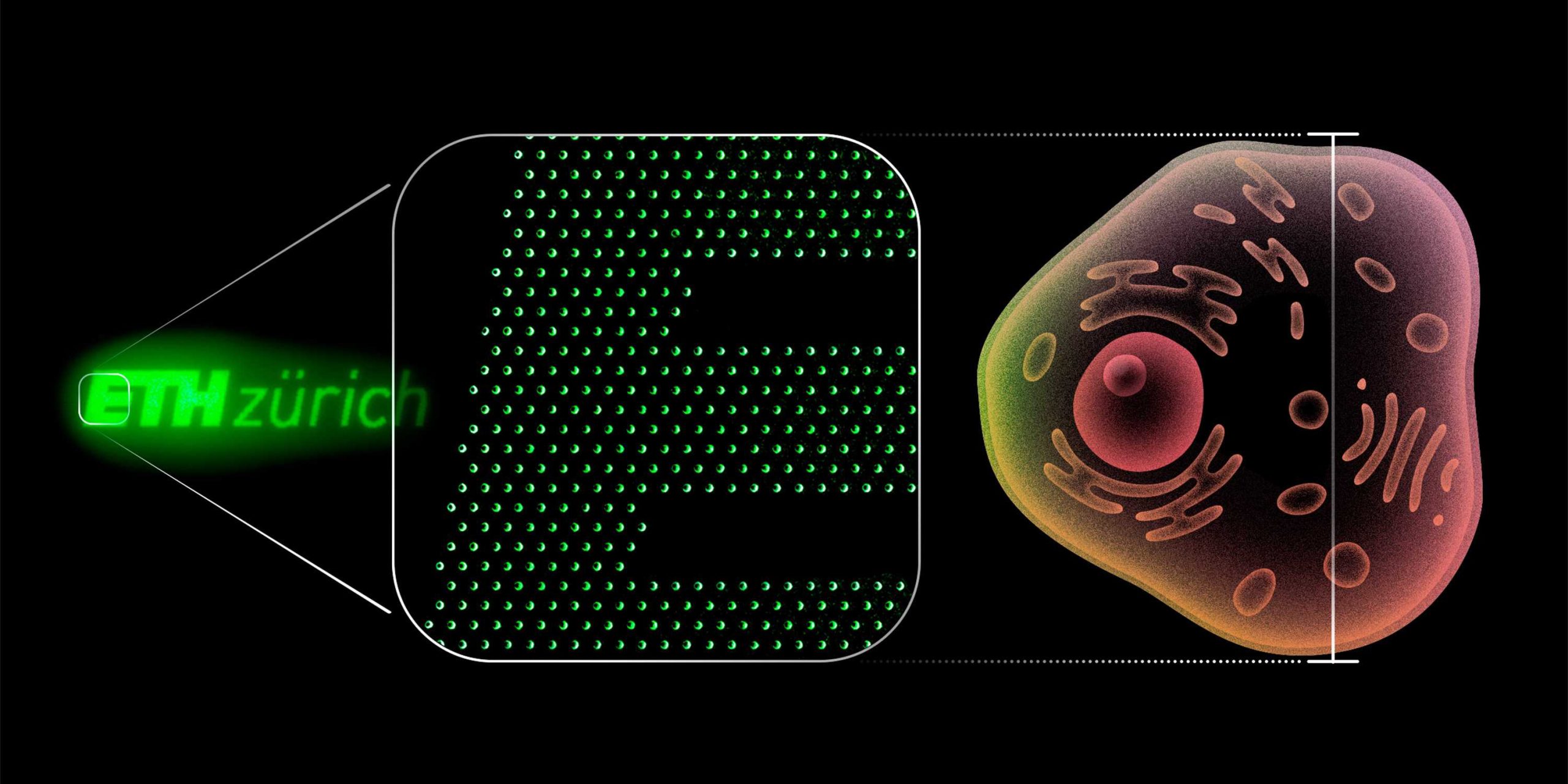 ETH Zurich's Nano-OLEDs: A Microscopic Leap for Robotics Vision and Advanced Sensing - CTO ...